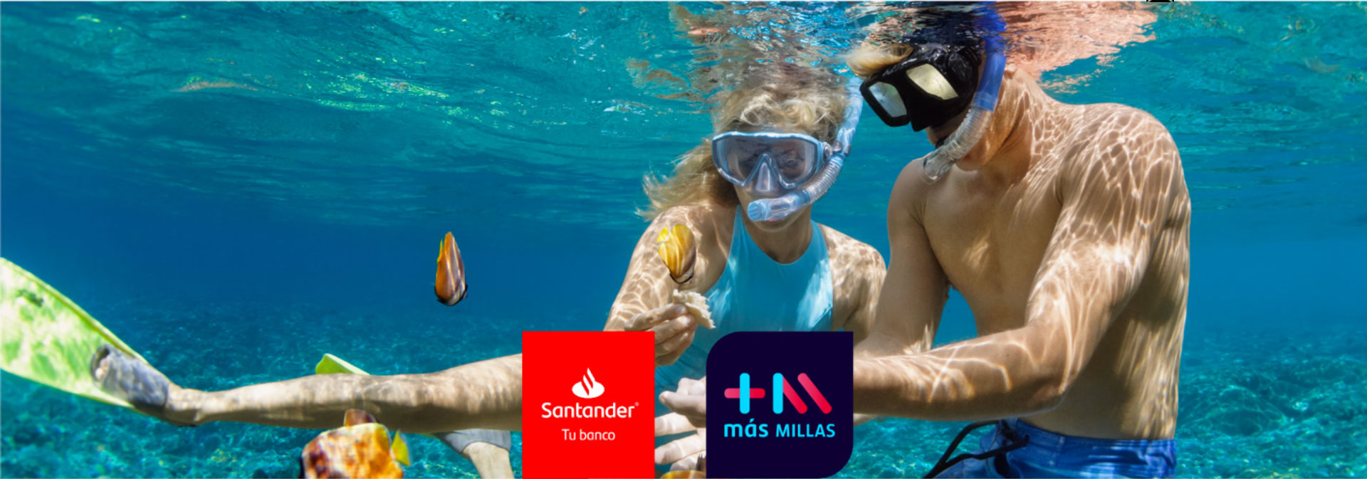 Más Millas - Indesa